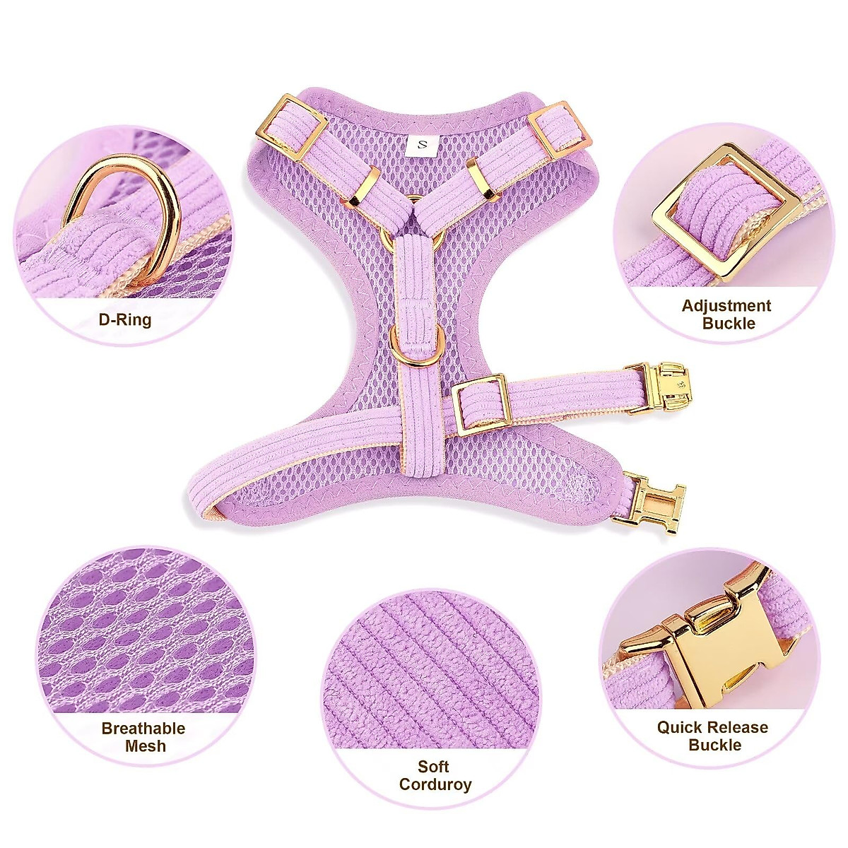 Didog Cute Small Dog Harness Collar & Leash Set, Adjustable Dog Collars and Leashes with Bowtie, Breathable Soft Mesh Padded Dog Vest for Puppies Small Dogs Walking, Purple, M
