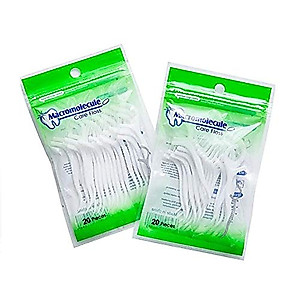 VNDEFUL 100Pcs(5 Packets ) White Dental Floss Picks Toothpicks Stick Oral Care