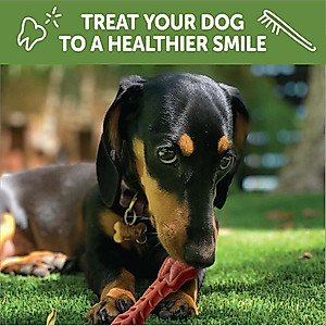 Whimzees Dental Dog Treats - Natural Grain-Free Chews for Healthy Teeth & Gums - Variety Pack - Small Breeds - Vegetarian Dental Care Snacks (2-Pack)