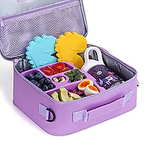 Cerbonny Reusable Ice Packs for Lunch Boxes, 4-Piece Set, Fun Dinosaur Shapes, Freezer Safe, Easy to Clean, Keeps Food and Drinks Cold