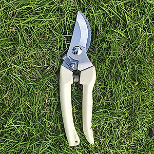 Professional Garden Scissors, Stainless Steel Bypass Pruning Shears, Garden Shears, Gardening Tools (1Pack )