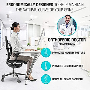 BOD Lumbar Mesh Back Support - Bring Comfort to an Office Chair, Car, and Truck Seat for Lower Back Pain Relief Behind Your Desk for All Day Pillow Like Comfort