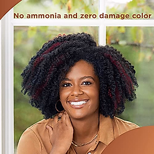 Clairol Professional Beautiful Collection Hair Color, 1n Light Natural Blonde