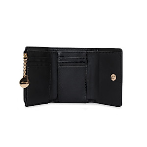 ALDO Women's Pietrarubbia Wallet, Black