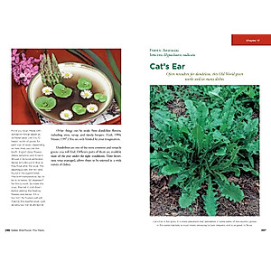 Edible Wild Plants: Wild Foods From Dirt To Plate (The Wild Food Adventure Series, Book 1)