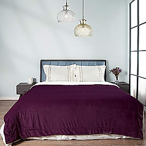 RONGTAI Sherpa Fleece Bed Blanket,Lightweight Cozy Thick Throw Blankets for Couch,Dark Purple-Throw（50"x60"）
