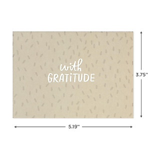 Hallmark Minimalist Thank You Note Card Assortment (48 Blank Cards with Envelopes) Mint Chevron, Blush Polka Dot, Stripes