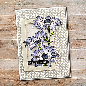 Lottoy Cute Chamomile Silicone Clear Stamp and Die Sets for Card Making, DIY Embossing Photo Album Decorative Craft