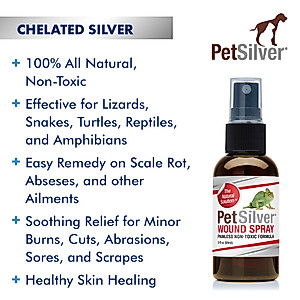 PetSilver Wound Reptile, Snake & Lizard Formula with Chelated Silver - Made in USA - Vet Formulated - Natural Pain Free Formula - Relief Support for Skin Issues, Sores, Scale Rot 2 fl oz