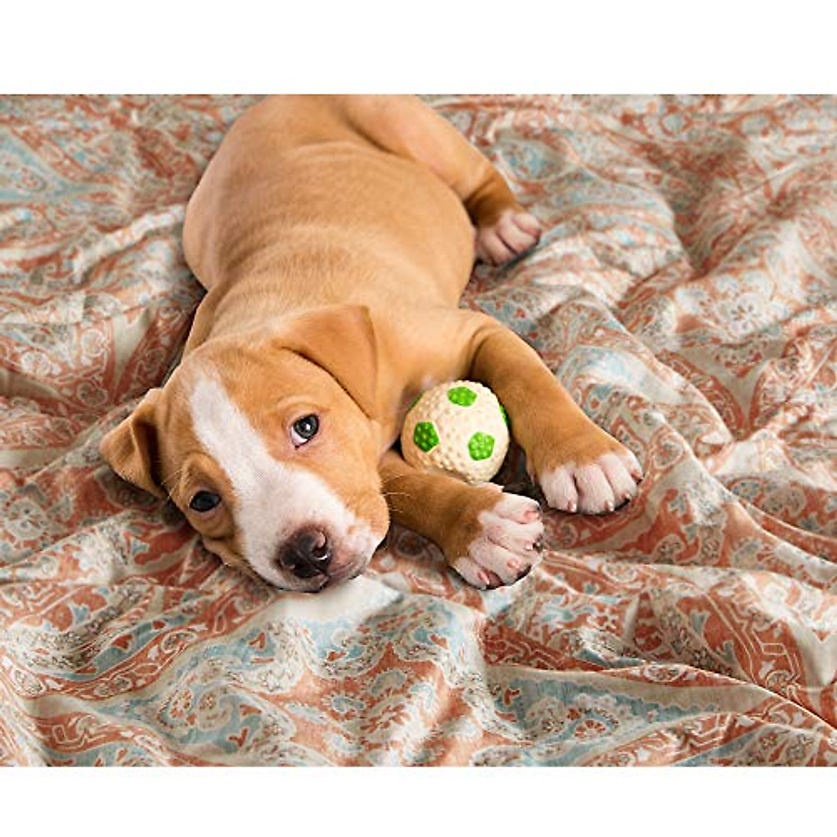 Comfort Spaces Bed in A Bag - Trendy Casual Design Cozy Comforter with Complete Sheet Set with Side Pocket, All Season Cover, Matching Shams, Twin(66"x90"), Gloria, Damask Coral 6 Piece