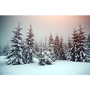 Leyiyi 7x5ft Enchanted Winter Forest Backdrop Snow Covered Woodland Pine Trees Russia Travel Cold Weather Landscape Photography Background Merry Christmas New Year Photo Studio Prop Vinyl Wallpaper
