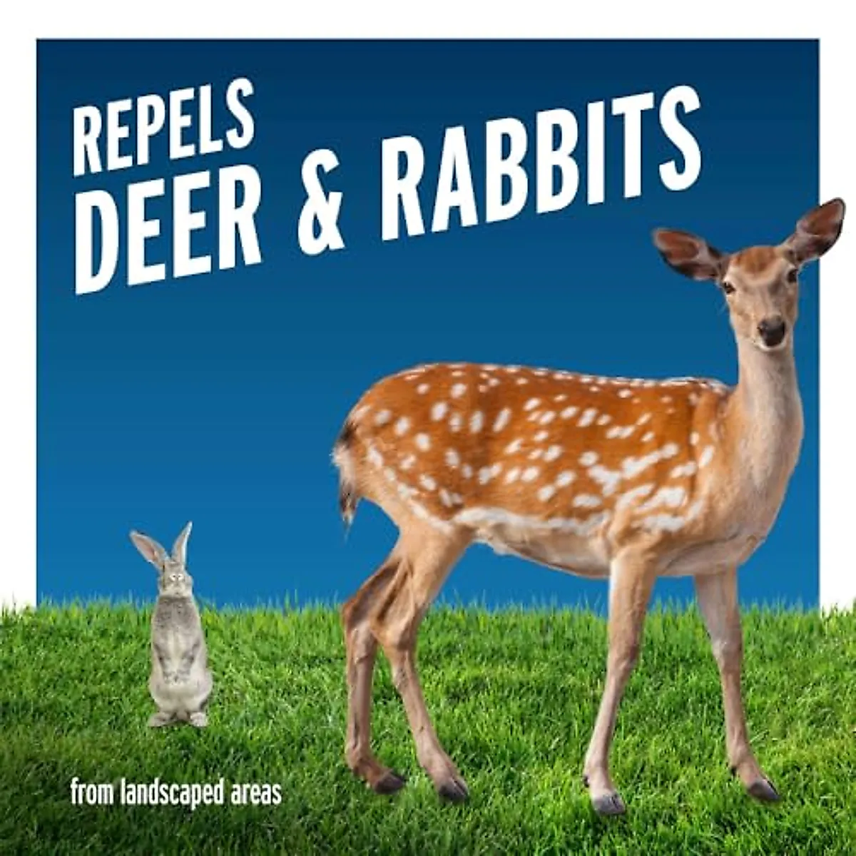 Liquid Fence Deer And Rabbit Repellent Concentrate 32 Ounces, Apply Year-Round