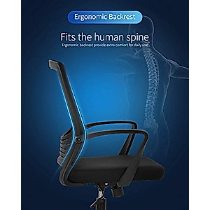 Home Office Chair Ergonomic Desk Chair Mesh Computer Chair Lumbar Support Modern Executive Adjustable Rolling Swivel Chair Comfortable Mid Black Task Chair, Black