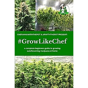 #GROWLIKECHEF: a complete beginners guide to growing autoflowering marijuana at home