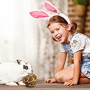 SunGrow Dental Floss Fiber Ball for Rabbit, Cat, Dog, Cleans Teeth to Maintain Healthy Gums, Play Ball, Grinding and Gnawing Treats for Chinchilla, Hamsters, Gerbils