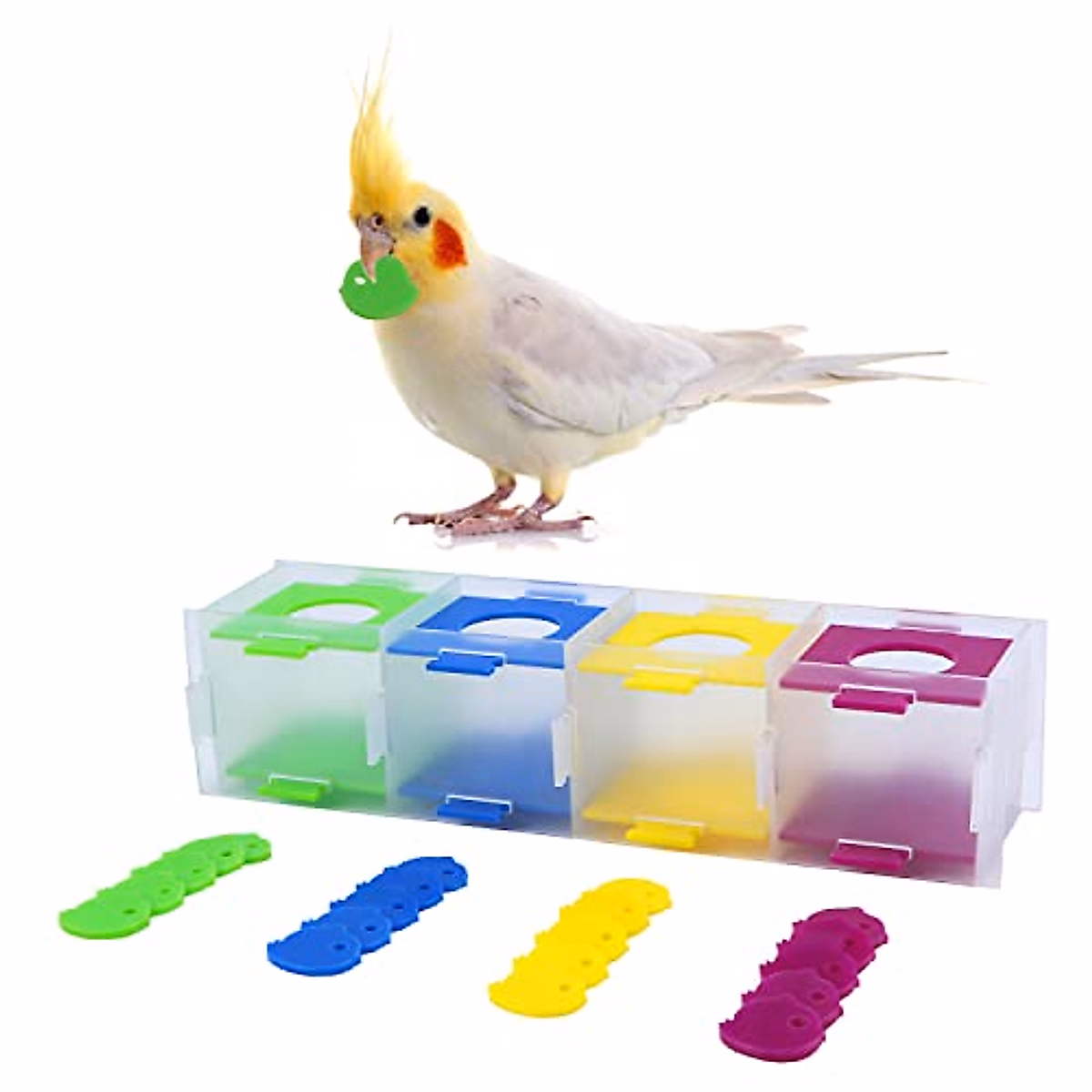 Litewoo Parrot Intelligence Training Toy Color Separation Coin Box Education Interactive Playing Puzzle Toy for Birds Parakeet Cockatiel Amazon Budgie Cockatoo Finch Conures Macaw