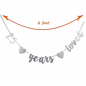 StarsGarden Glitter 25 Years Loved Banner – It's My Fabulous 25th Banner -25th Birthday Banner Decorations - Cheers to 25 Years Milestone Happy Birthday Decorations(Silver 25)