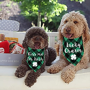 STMK 2 Pack St. Patrick's Day Dog Bandanas, Holiday Plaid Dog Puppy Bandana for Dog Puppy St. Patrick's Day Holiday Party Decorations