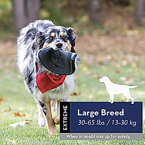 KONG - Extreme Flyer - Durable Rubber, Soft Flying Disc for Fetch and Retrieve, Black - Large Dogs