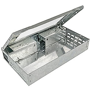 Southern Homewares - SH-10059-2PK Itrap Multi-Catch Clear Top Humane Repeater Mouse Trap, 2 Pack