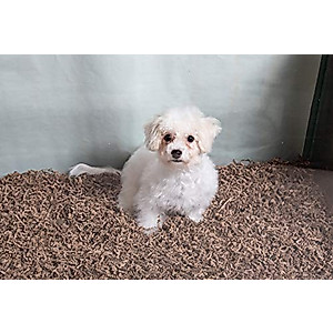 ECO BEDDING Fibercore for Small Pet, 3 lb, Brown