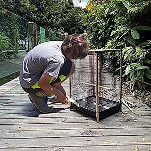 Flat top Bird Travel cage,21 inch Parrot Carrier with Wooden Perch Feeding Cup for Conures Cockatiel Parakeets（Aluminum Frame）