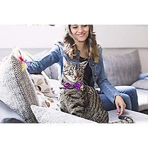 2 PCS Breakaway Cat Collar with Bow Tie and Bell Golden Moon Glowing Star in The Dark for Kitten(Black&Purple)