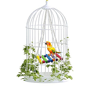 5 Pcs Bird Parrot Swing Toys - Hanging Bell Pet Bird Cage Hammock Climbing Ladder Bird Cage Toys for Budgerigar, Parakeet, Conure, Cockatiel, Mynah, Love Birds, Finches and Other Small to Medium Birds