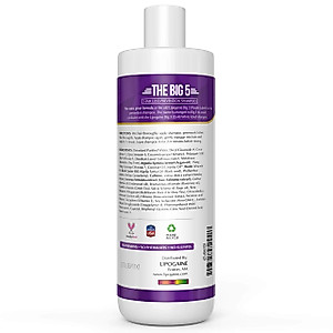 Lipogaine Big 5 Hair Stimulating All Natural Shampoo for Hair Thinning & Breakage (purple) (16oz)