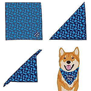 Dog Birthday Bandana - Boy