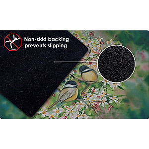 Toland Home Garden 800035 Sweet Chickadees Spring Door Mat 18x30 Inch Summer Outdoor Doormat for Entryway Indoor Entrance