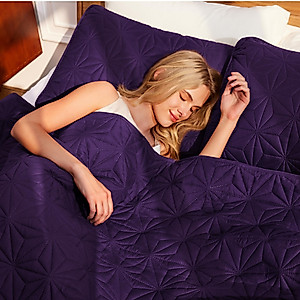 Whale Flotilla Queen Quilt Bedding Set, Soft Purple Bedspreads Quilts Queen Size for All Seasons, 3 Pieces Lightweight Geometric Star Pattern Coverlet