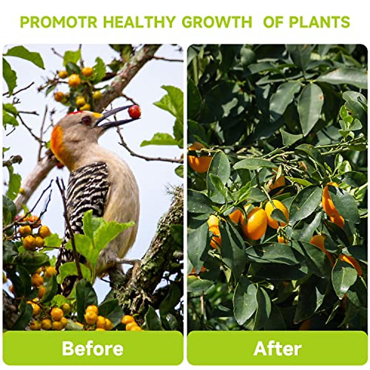 4.92x3.94 FT 4 Packs Garden Plant Netting Insect Bird Barrier Netting Mesh with Drawstring Bug Netting Plant Pest Barrier Covers Bags Protection Netting Covers Bags Plant from Insect Bird Eating