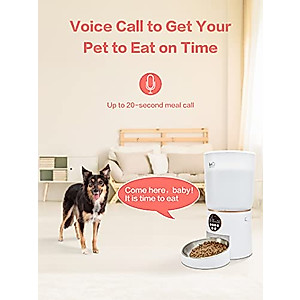 beQ 5L Automatic Cat Feeder, Timed Dog Feeder for Dry Pet Food with Stainless Steel Bowl, Twist Lock Sealed Lid and Desiccant Dag, 1-6 Meals Per Day, 20-Second Voice Recording, for Cats or Dogs.