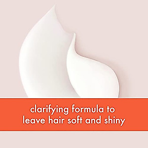 Love Beauty And Planet Silicone Free Conditioner Detox and Nourishment Black Tea Kombucha & Red Ginger Hair Care for Soft & Shiny Hair, Floral, 32 Fl Oz