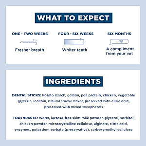 Bark BARK Bright Large Dental Kit for Dogs, 26.29 oz,31 Piece Set