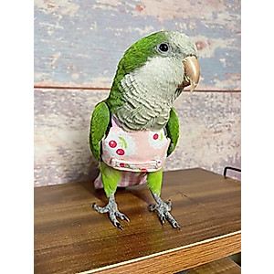 Bird Flight Harness Vest, Parrot Flight Suit for Cockatiels Conures Budgies, Bird Flying Clothes for Outdoor Activities Training