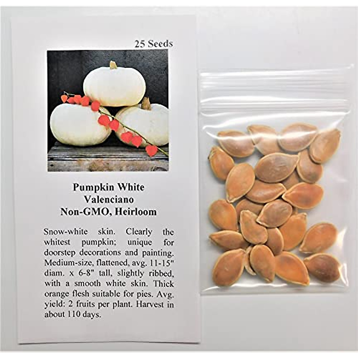 David's Garden Seeds Pumpkin White Valenciano FBA-9254 (White) 25 Non-GMO, Heirloom Seeds