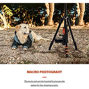 GEEKOTO Camera Tripod for DSLR, Compact Aluminum Tripod with 360 Degree Ball Head and 8kgs Load for Travel and Work
