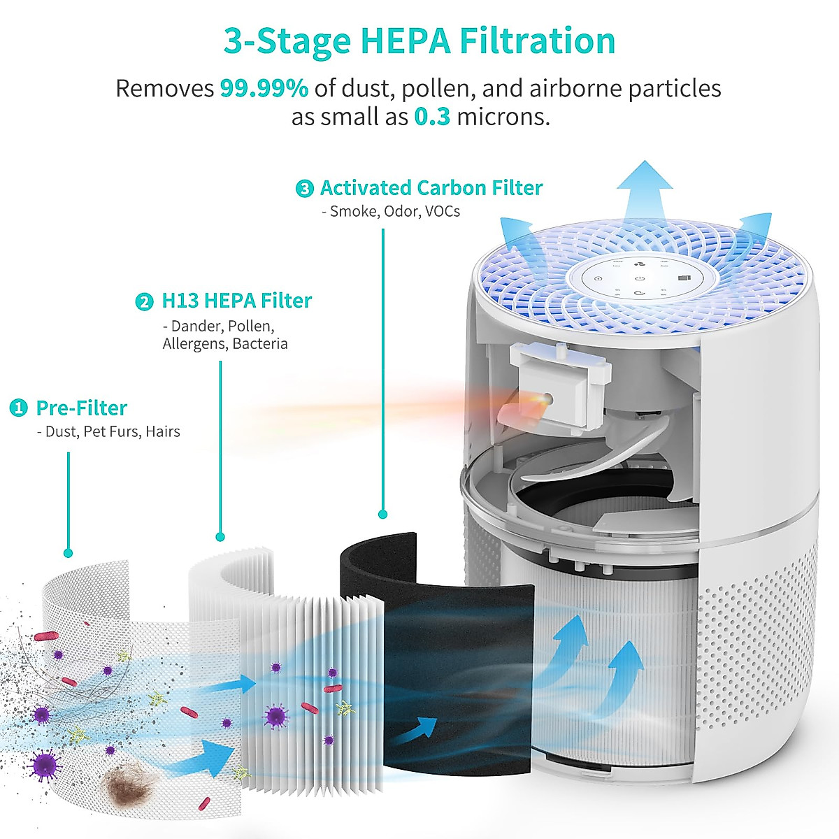 HIMOX Air Purifiers for Home Large Room Covers 1,086 Sq Ft with Air Quality Light, Fragrance Sponge, H13 HEPA Filter, 22 dB, Removes 99.99% of Pet Dander, Odors, Hair, Allergens, Smoke, Dust, Pollen