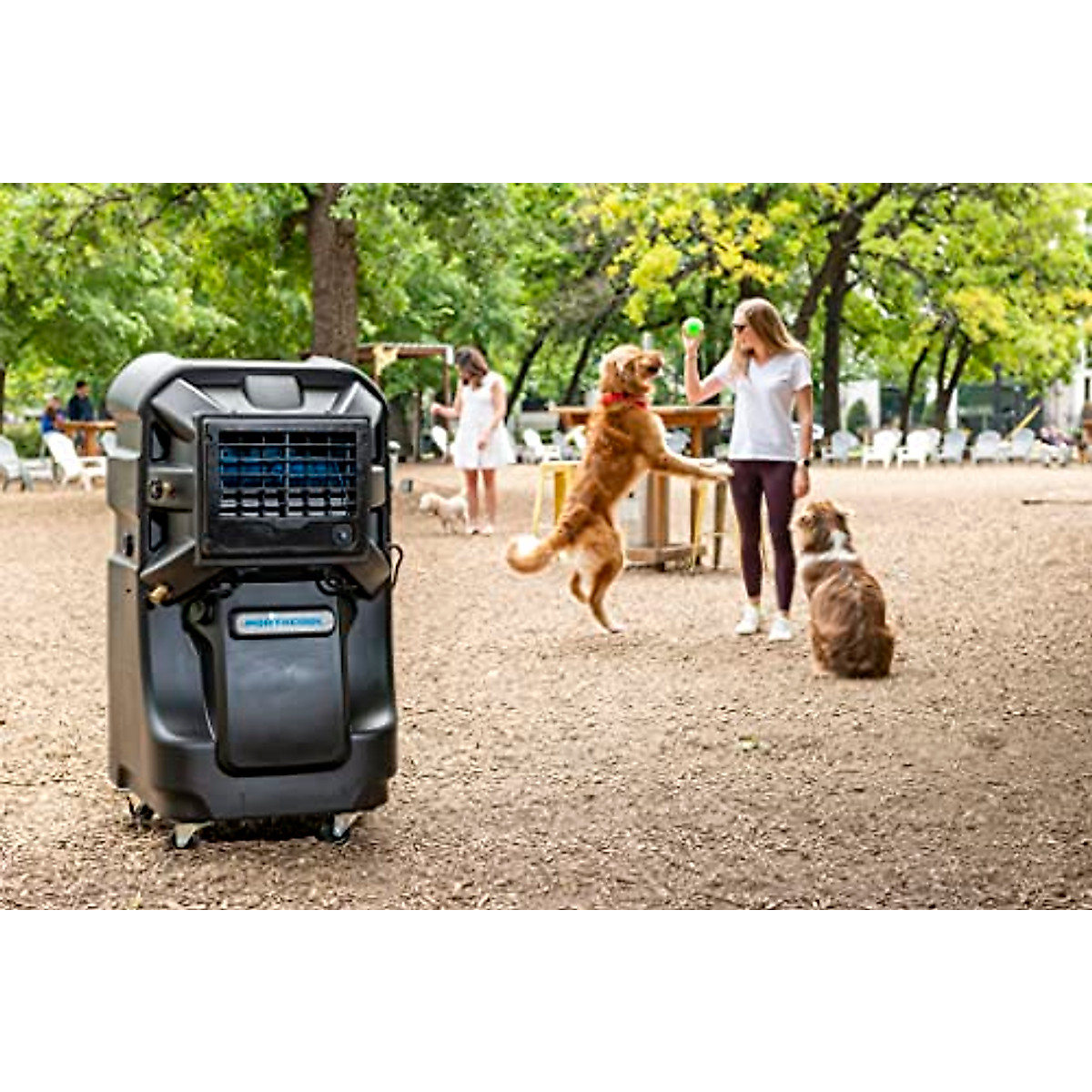 Portacool PACJS2301A1 Jetstream 230 Portable Evaporative Cooler, Black