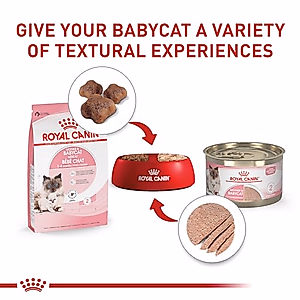 Royal Canin Feline Health Nutrition Mother & Babycat Dry Cat Food, 3 lb Bag