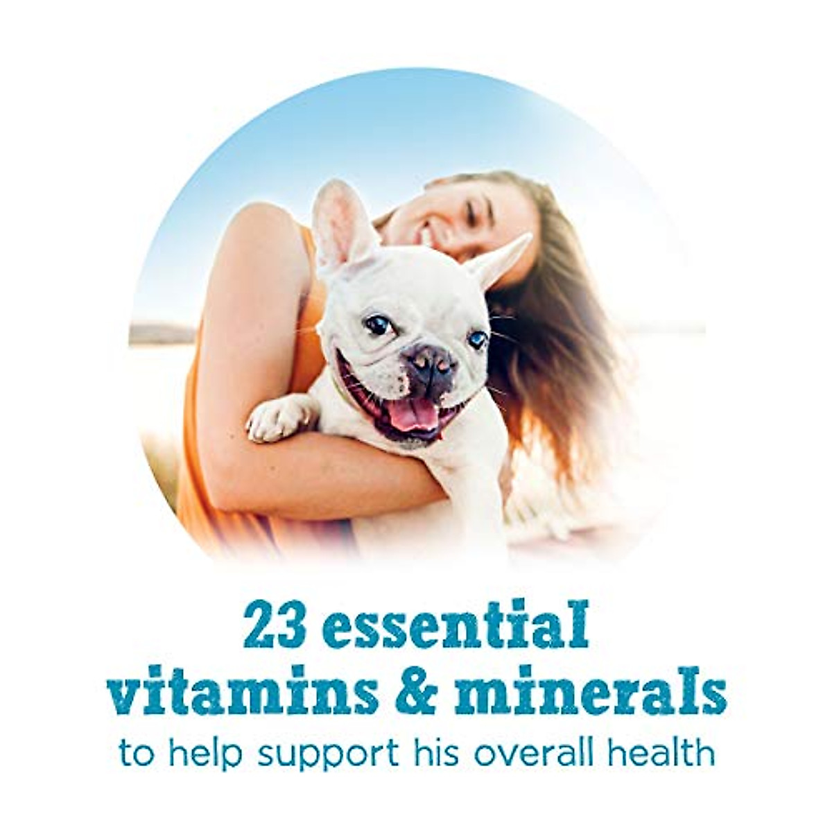 Purina Beneful Small Breed Wet Dog Food Variety Pack, IncrediBites Pate - (2 Packs of 12) 3 oz. Cans