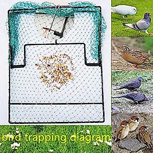 DSQSTMR Pigeon Bird Trap Trapping Hunting Quail Cage Sparrow Spring Starling Catching Net Traps for Trapping