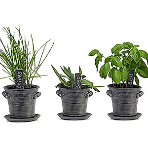 Window Garden Herb Growing Kit - Grow an Indoor Garden, Herb Kitchen Windowsill - Non GMO Seeds, Fresh Organic Basil, Chives, Sage - Rustic Set of Planters with Fiber Soil - Herbs Growing Starter Set