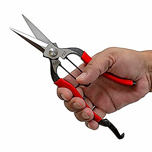 RANSHOU Japanese Garden Shears 7.8” Made in JAPAN, Professional Garden Scissors for Gardening, Harvesting, Bonsai, Ikebana, Hand Forged Japanese Steel Blade, Non-Slip Red