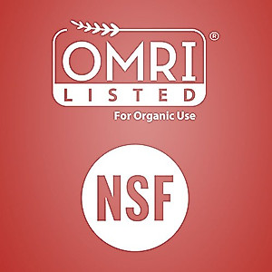 Urnex Cafiza Espresso Machine Cleaning Tablets - 100 Count - Professional Espresso Machine Cleaner Barista Use