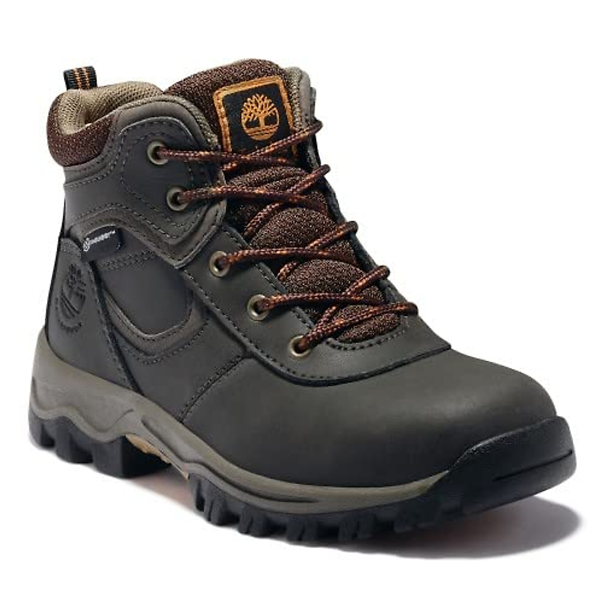 Timberland baby boys Youth Mt. Maddsen Timberdry Waterproof Hiking Boot, Dk Brown Full Grain, 3 Little Kid US