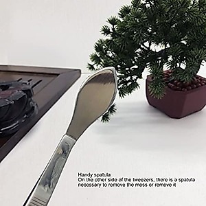 Bonsai Tweezers, Straight Tip Bonsai Spatula Tweezers Removing Moss Picking Up Sprigs Soil Loosening Tool Rustproof for Garden