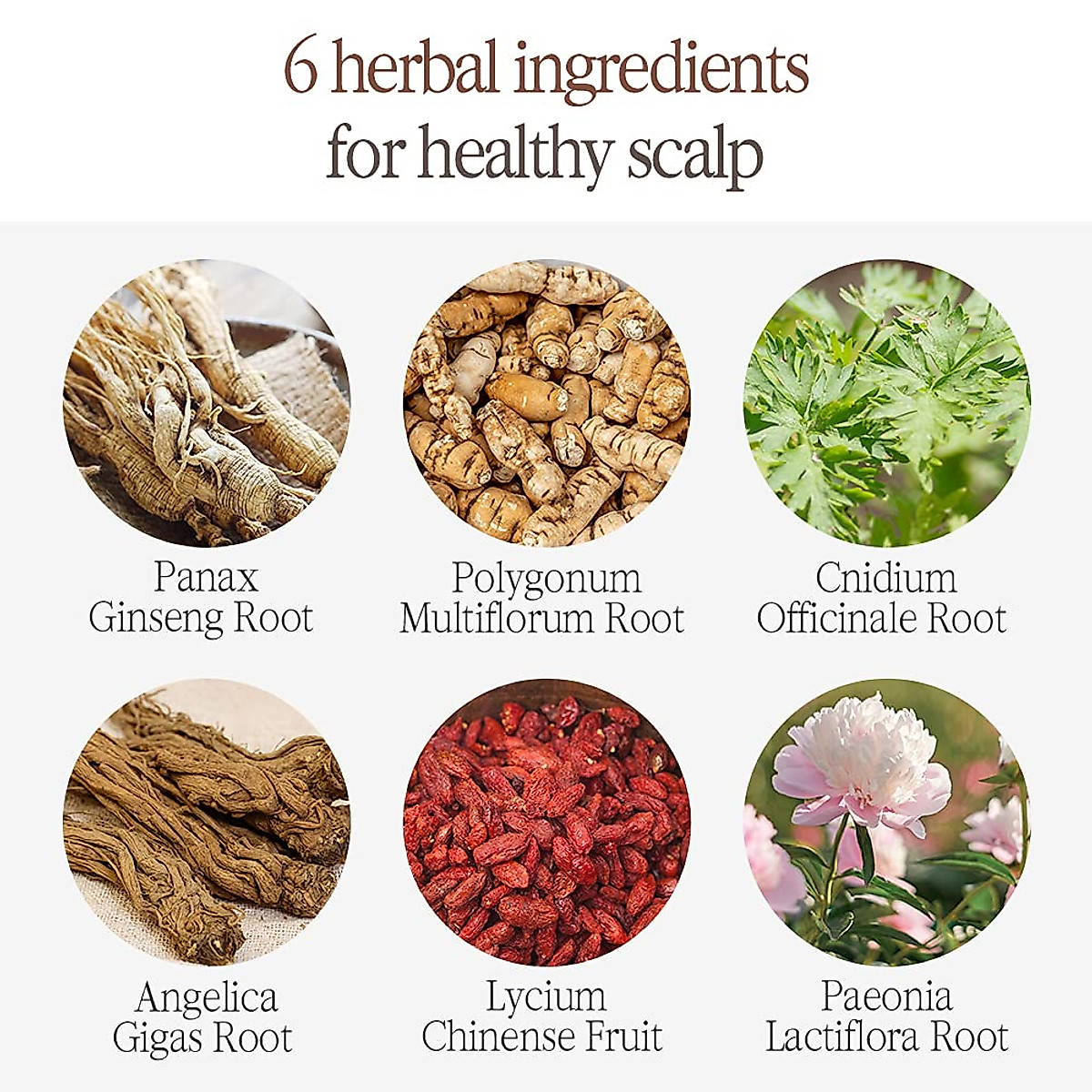 PYUNKANG YUL Herbal Hair Loos Control Shampoo - Fermented Black Tea containing rich Ingredients polypheonol, catechin - Hair Loss Treatments herbal Ingredients condensed Peptide, Biotin - 16.9 Fl. Oz